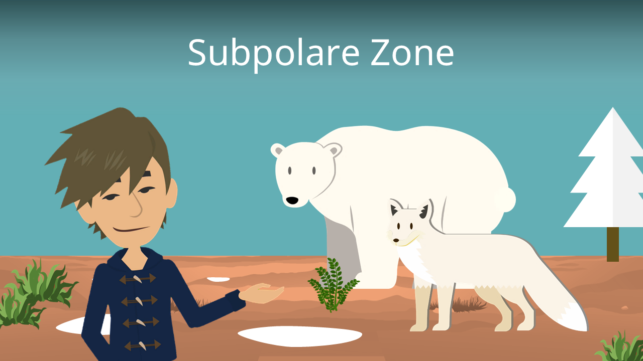 Subpolare Zone • Einfach erklärt · [mit Video]