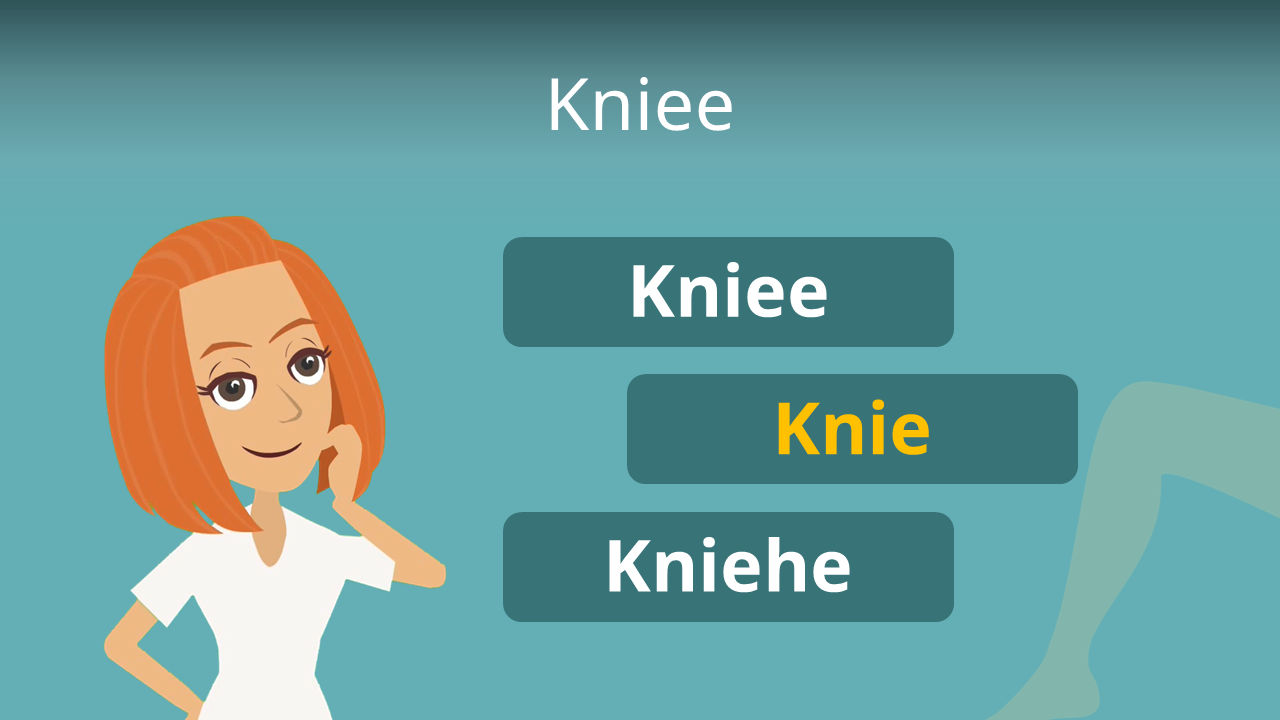 Kniee • Mehrzahl von Knie · [mit Video]