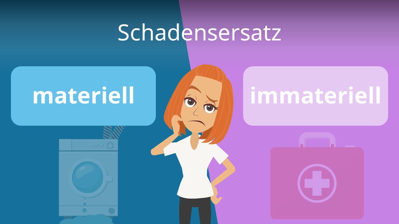 Schadensersatz • alle wichtigen Informationen · [mit Video]