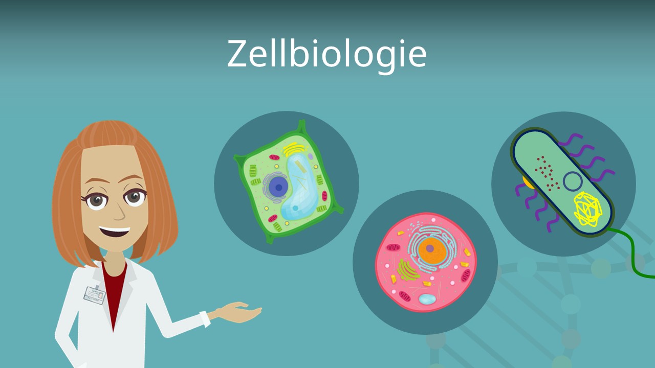 Zellbiologie • Definition, Grundlagen und Methoden · [mit Video]