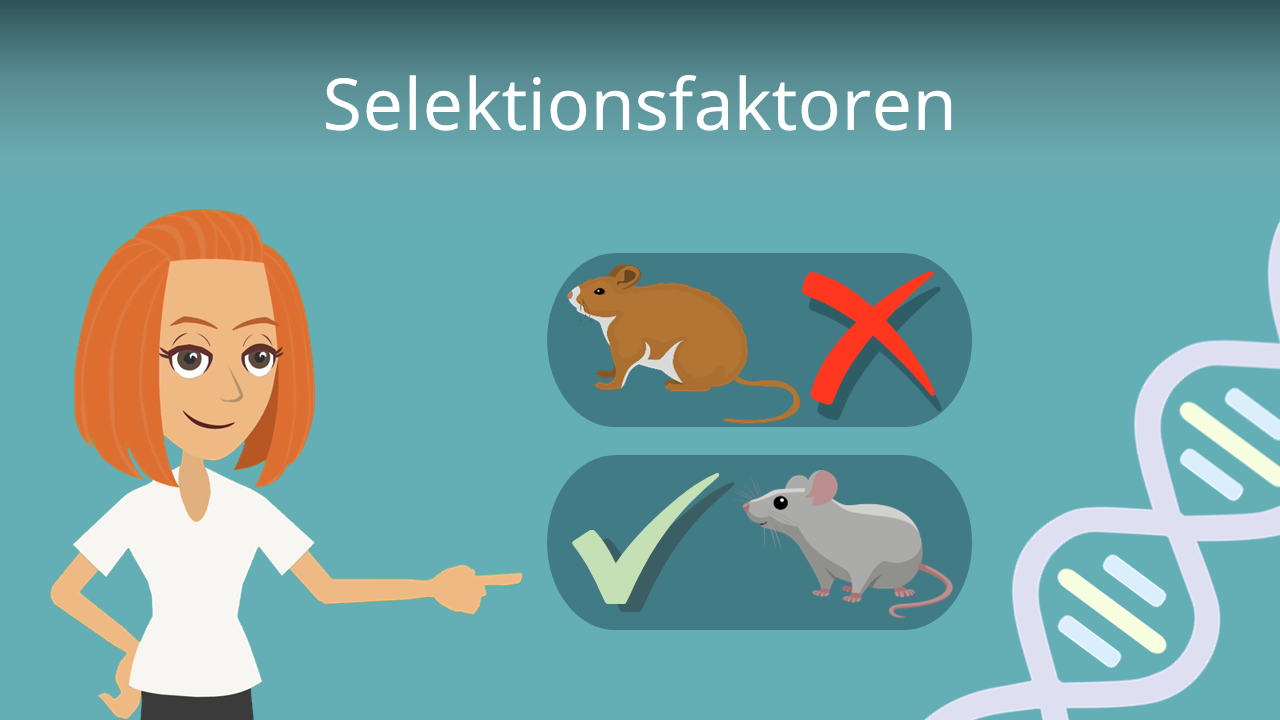Selektionsfaktoren • biotisch und abiotisch · [mit Video]