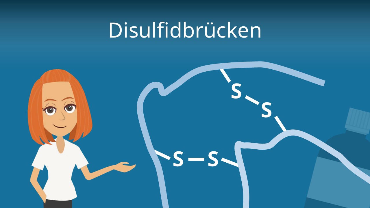 Disulfidbrücken • Chemische Bindung in Proteinen · [mit Video]