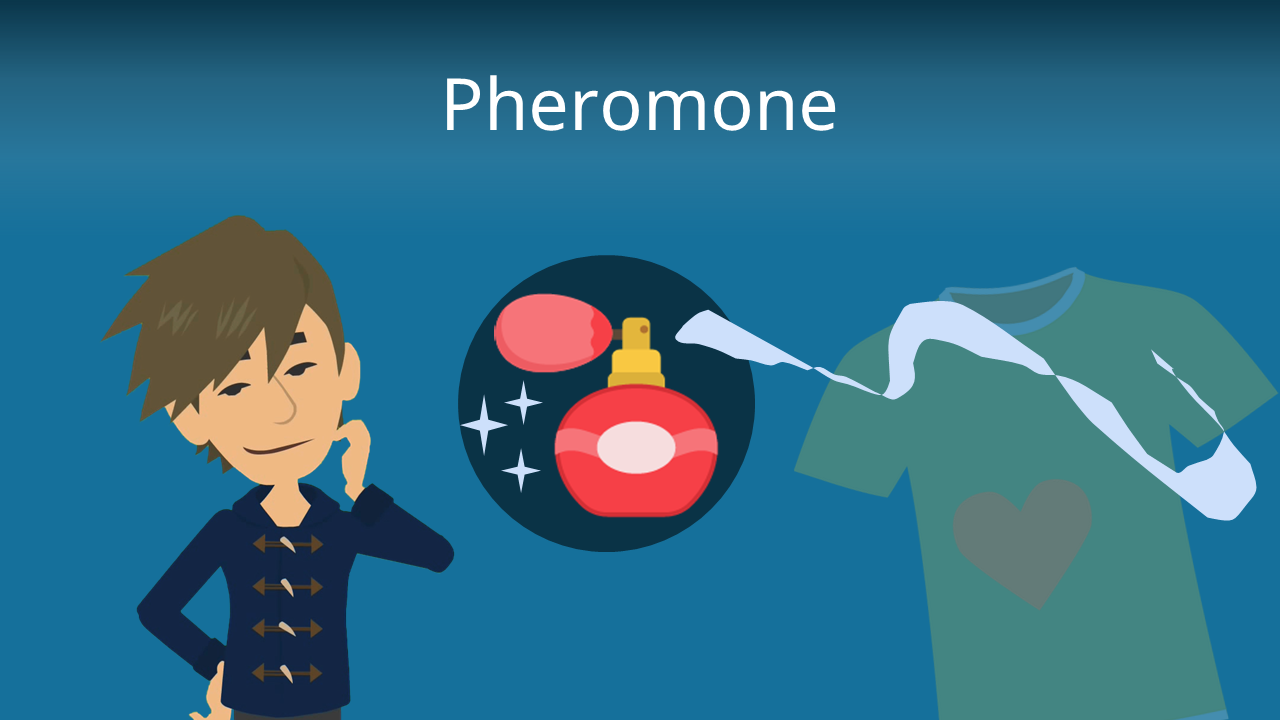 Pheromone • Was machen die Duftstoffe mit dir? · [mit Video]