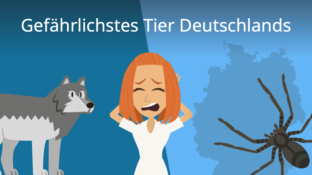 Gefährlichstes Tier Deutschland • Die Top 10 · [mit Video]