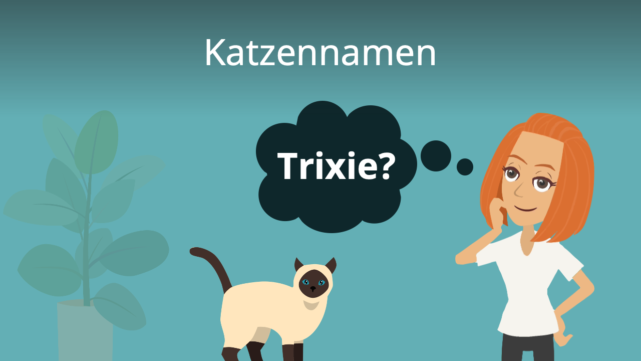 100 Katzennamen perfekt für deine Samtpfote · [mit Video]