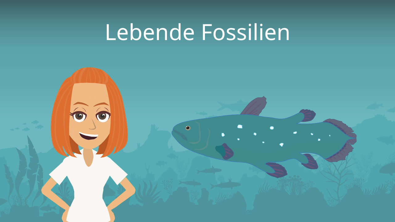 Lebende Fossilien • Entstehung, Merkmale und Beispiele · [mit Video]