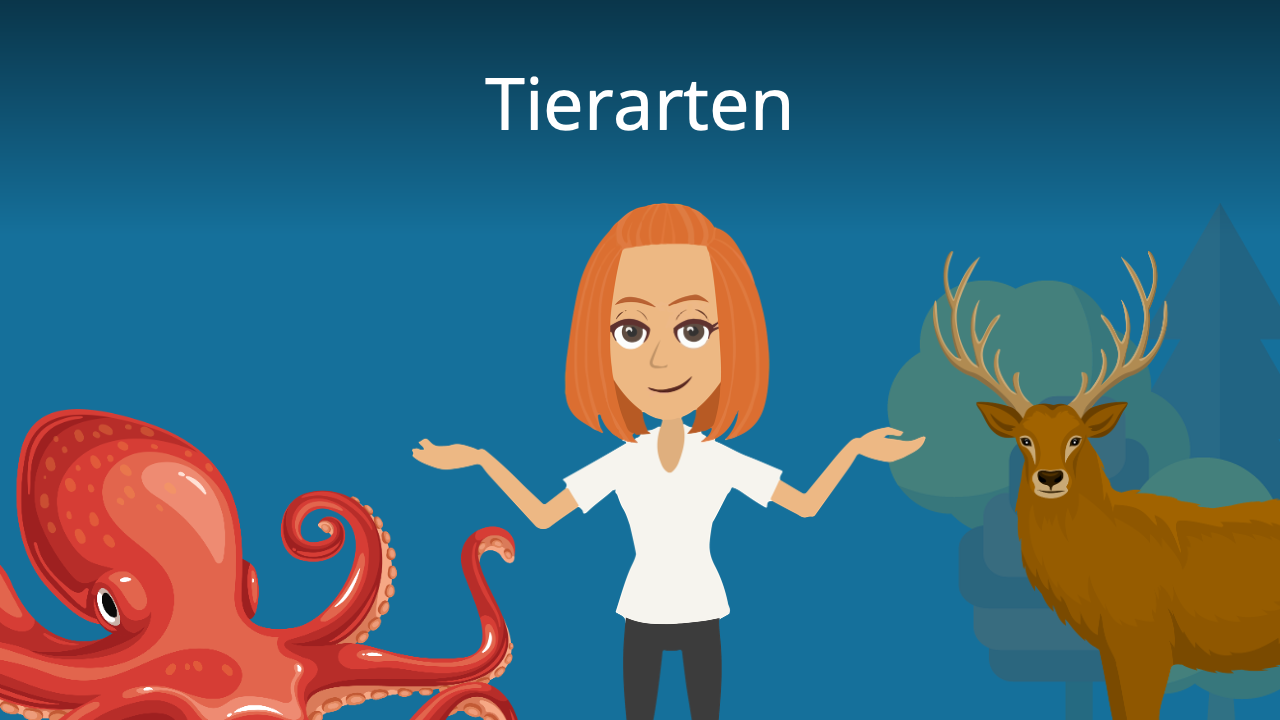 Tierarten einfach erklärt • Unterschiede und Steckbriefe · [mit Video]
