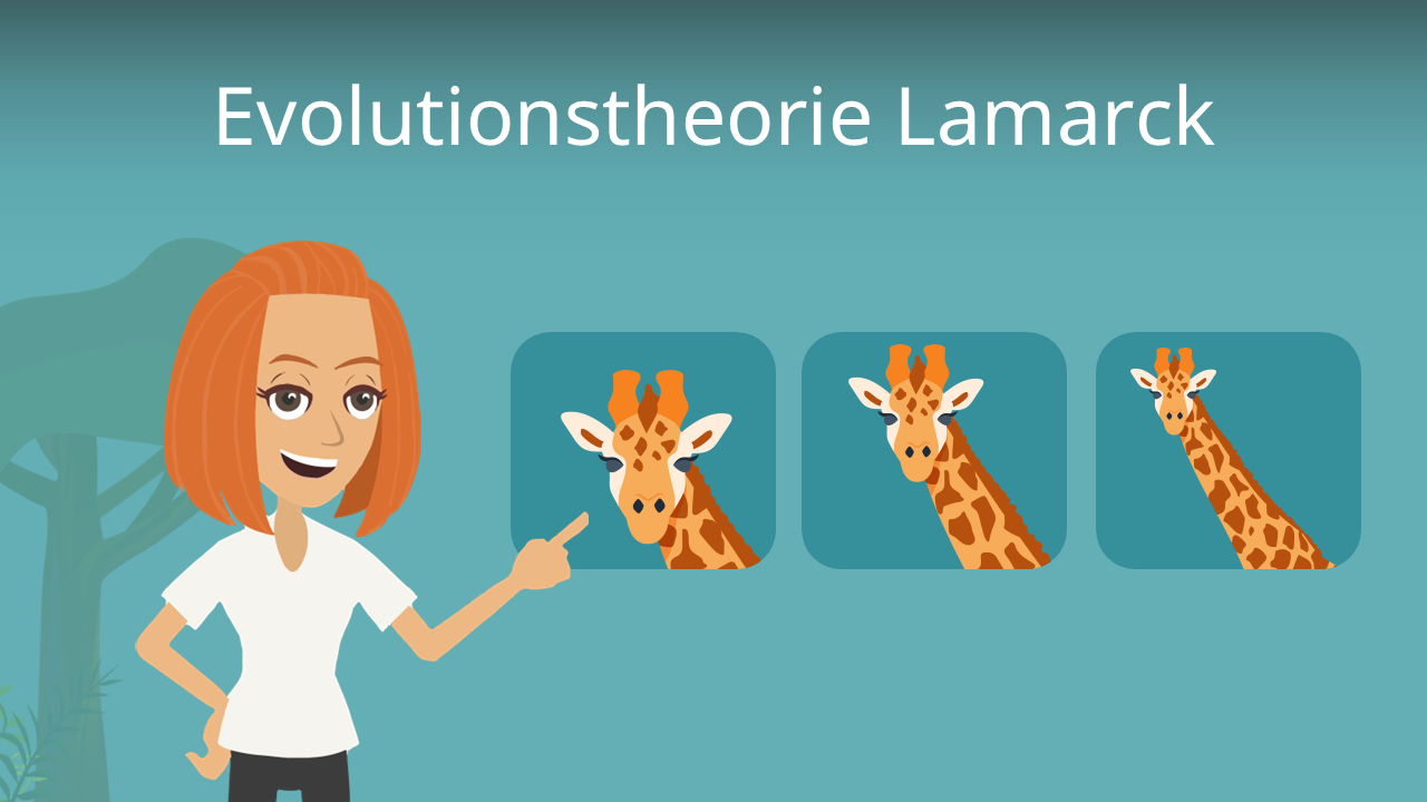 Evolutionstheorie Lamarck · [mit Video]