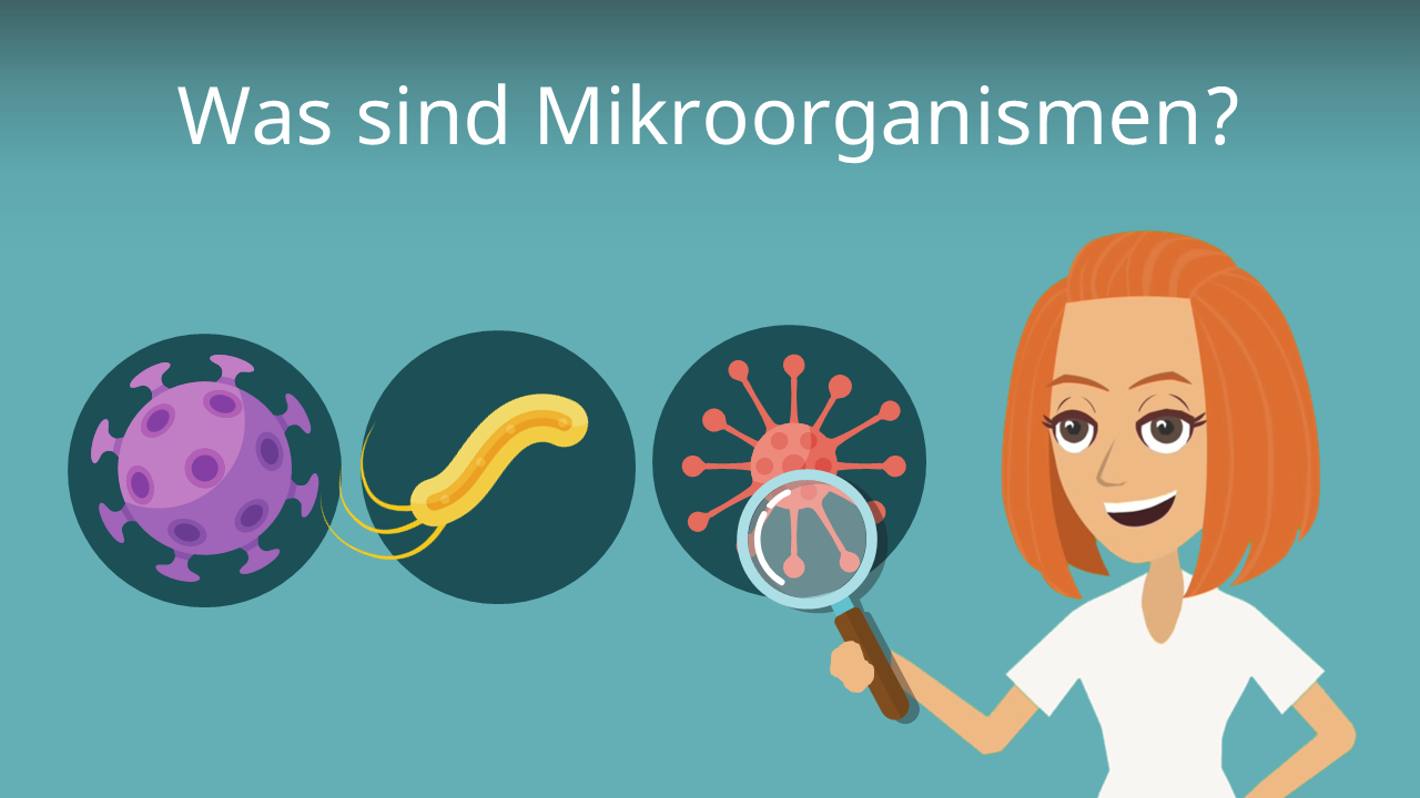 Mikroorganismen • einfach erklärt · [mit Video]