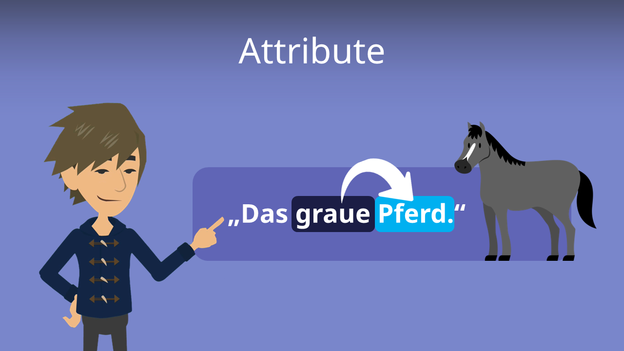 Attribute • einfach erklärt · [mit Video]