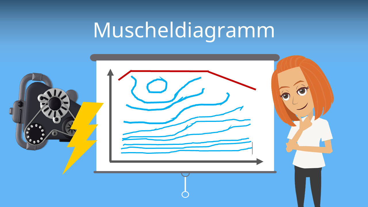 Muscheldiagramm: Formel und Analyse · [mit Video]