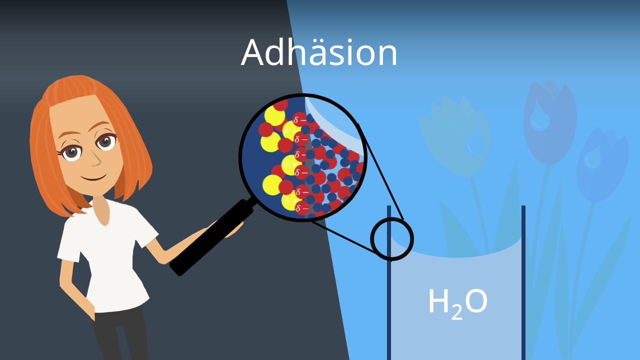 Adhäsion • Physik und Anwendungsbeispiele · [mit Video]