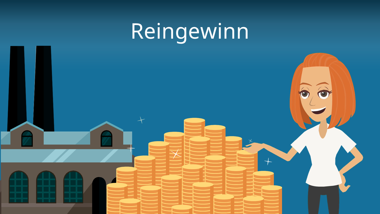 Reingewinn Berechnen