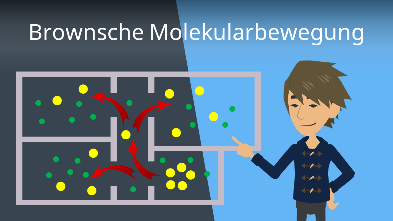 brownsche-molekularbewegung-definition-und-bedeutung-mit-video