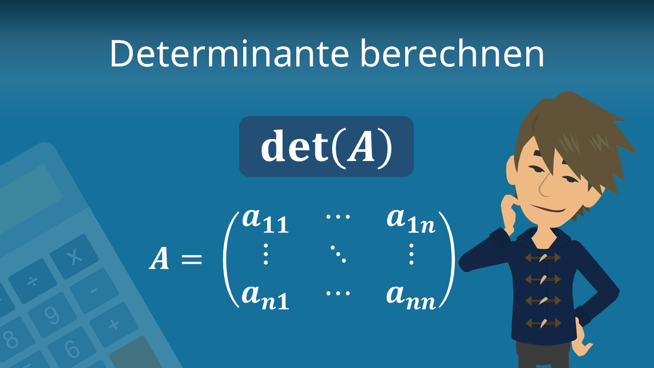 Determinate Berechnen