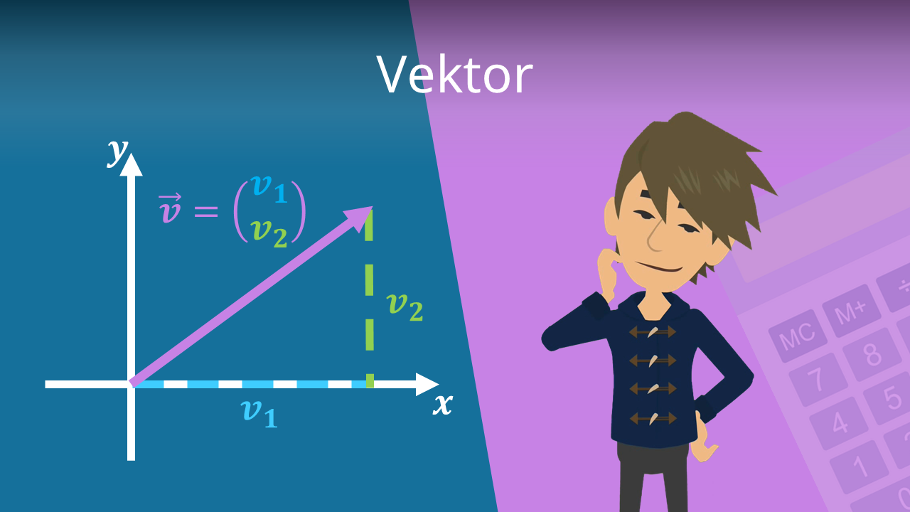 Vektor • einfach erklärt mit Beispielen · [mit Video]