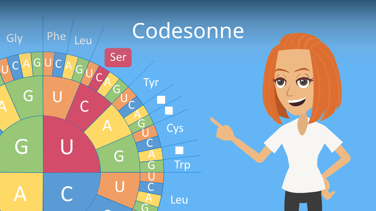 Codesonne • Genetischer Code, Übungsaufgabe · [mit Video]