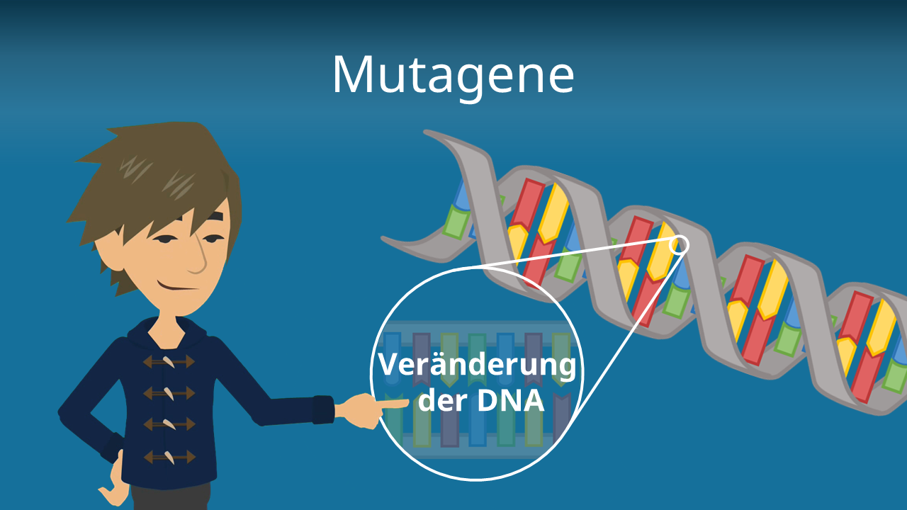 Mutagene • Mutationen, Beispiele und Auswirkungen · [mit Video]