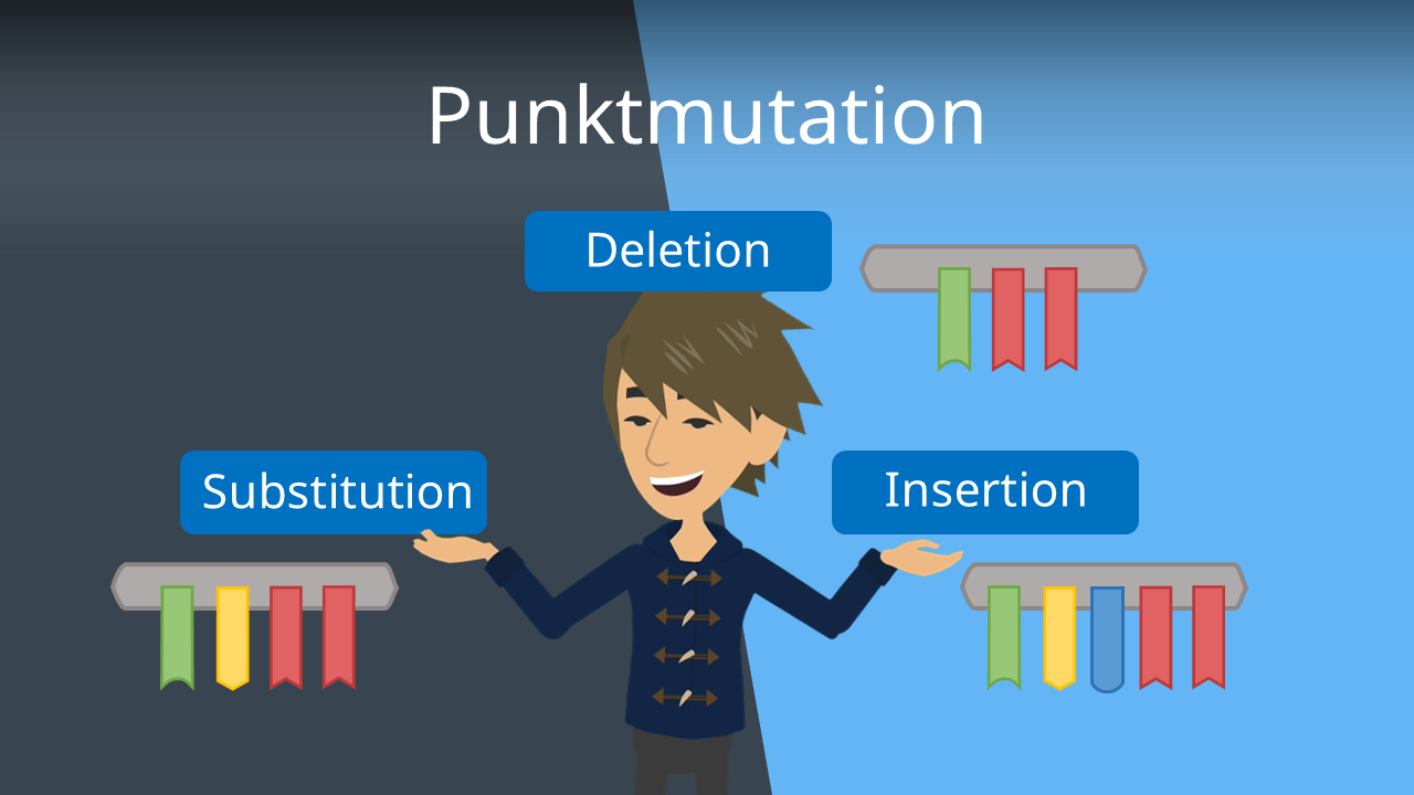 Punktmutation • Arten, Beispiele, Genmutation · [mit Video]