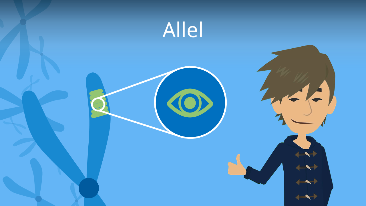 Allel • Definition, Allel und Gen Unterschiede · [mit Video]