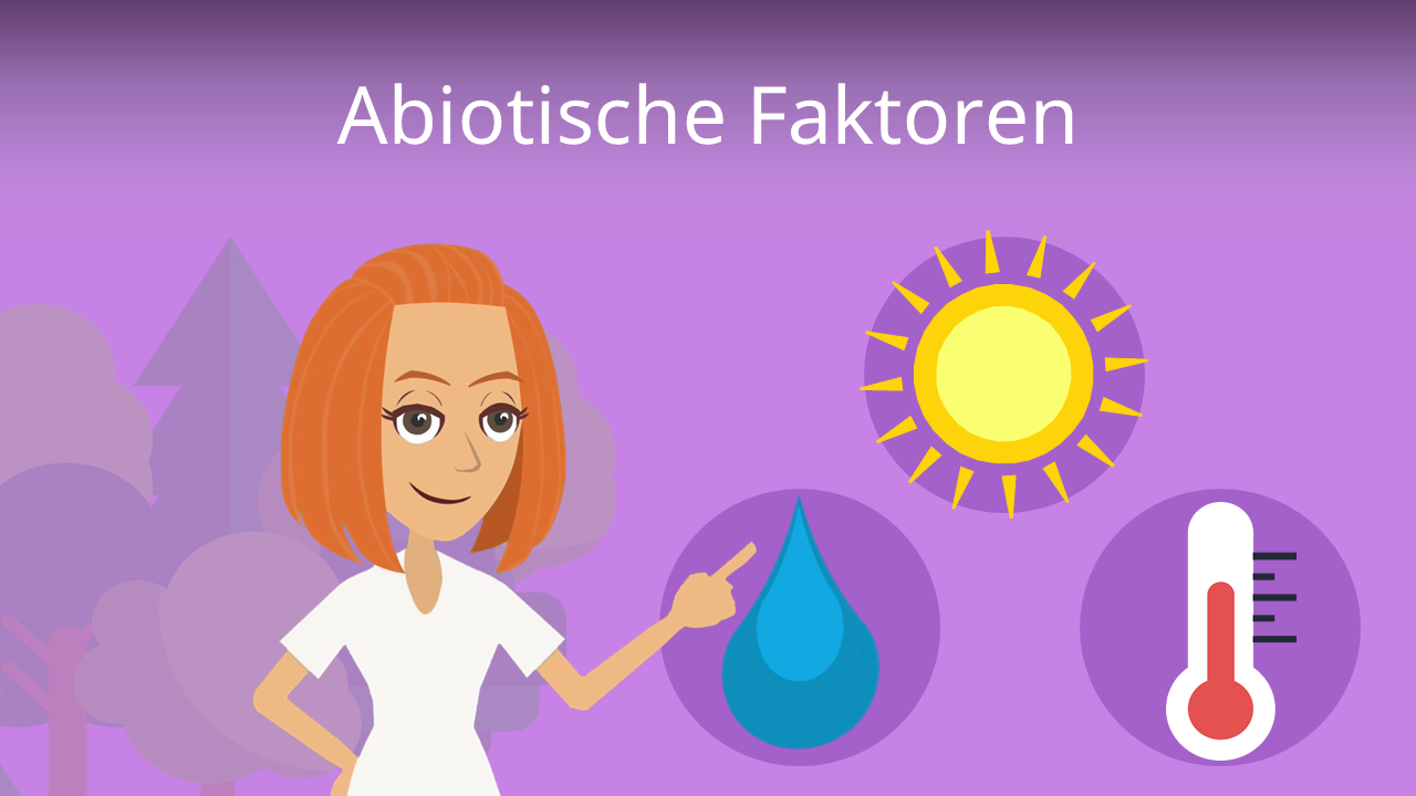 Abiotische Faktoren • Definition, Tabelle, Umweltfaktoren · [mit Video]