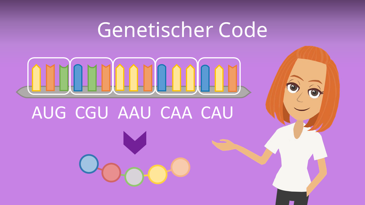 Genetischer Code • universell und degeneriert · [mit Video]