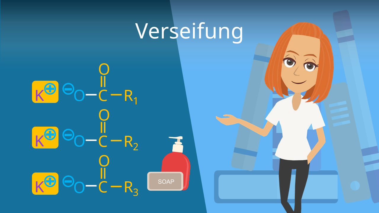 Verseifung • einfach erklärt: Mechanismus · [mit Video]