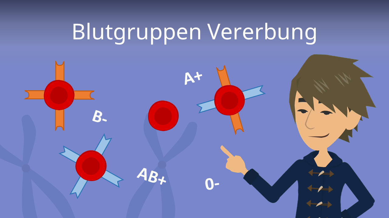 Blutgruppen Vererbung • einfach erklärt, AB0-System · [mit Video]
