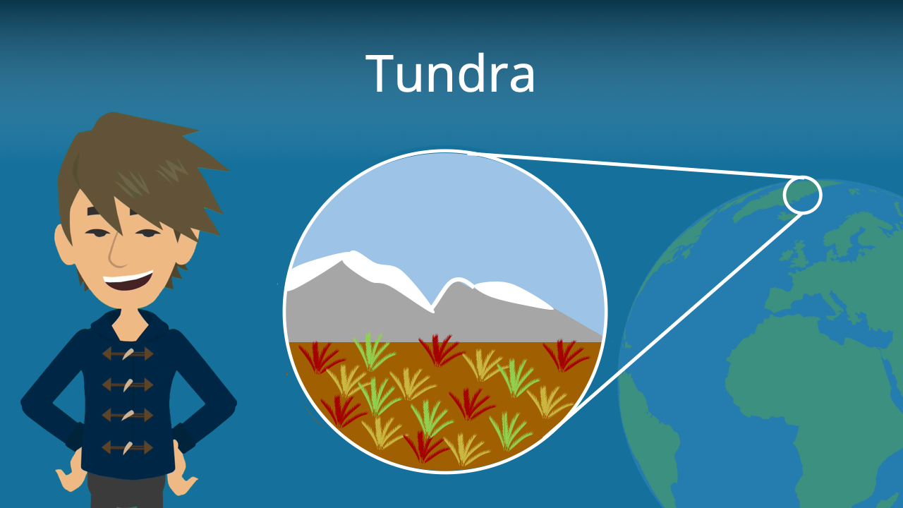 Tundra • Klima, Vegetation und Tiere · [mit Video]