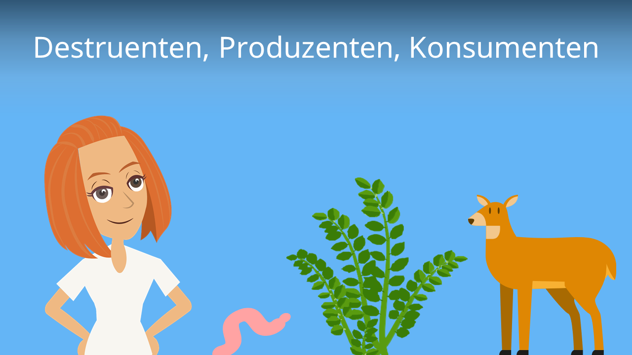 Destruenten • Erklärung und Aufgaben · [mit Video]