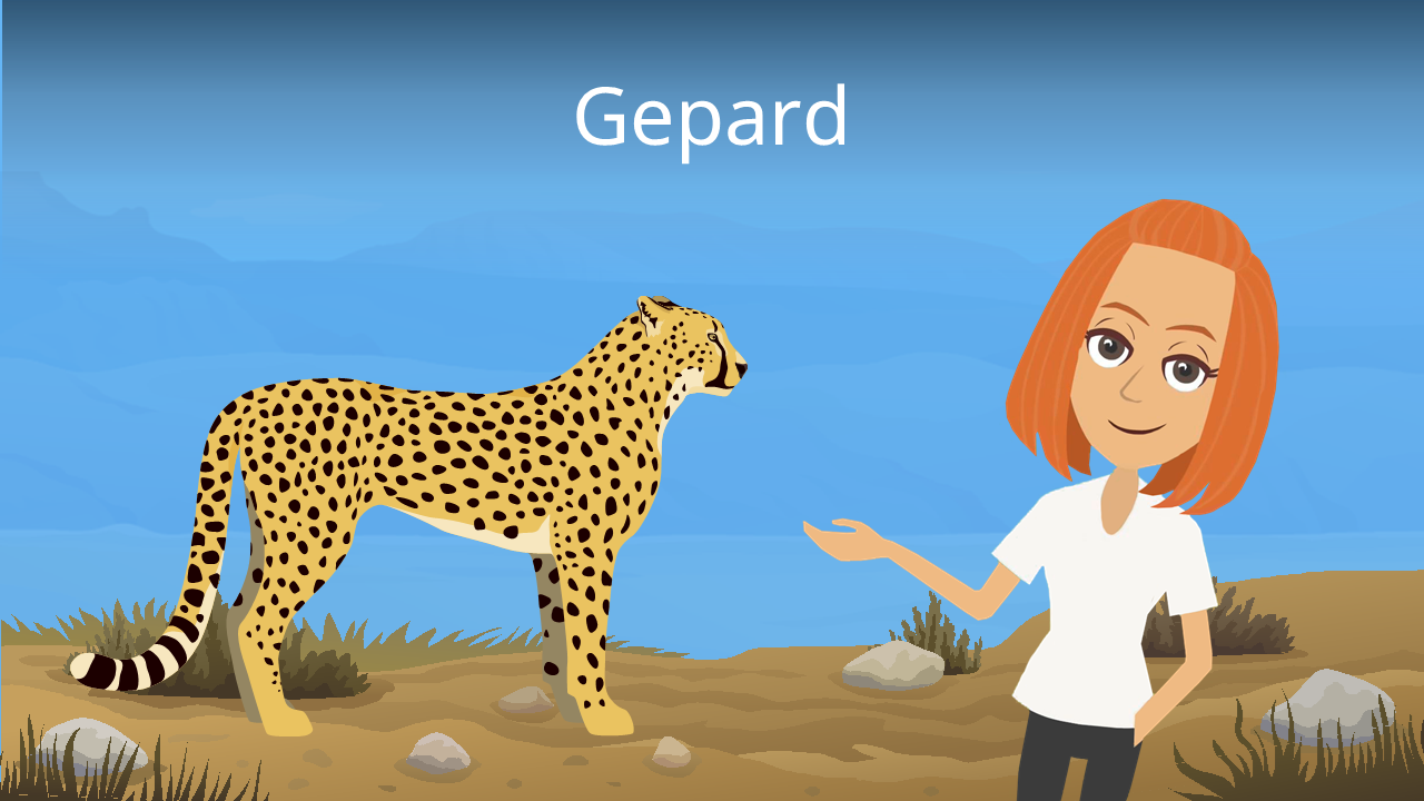 Gepard • Geschwindigkeit und Merkmale · [mit Video]