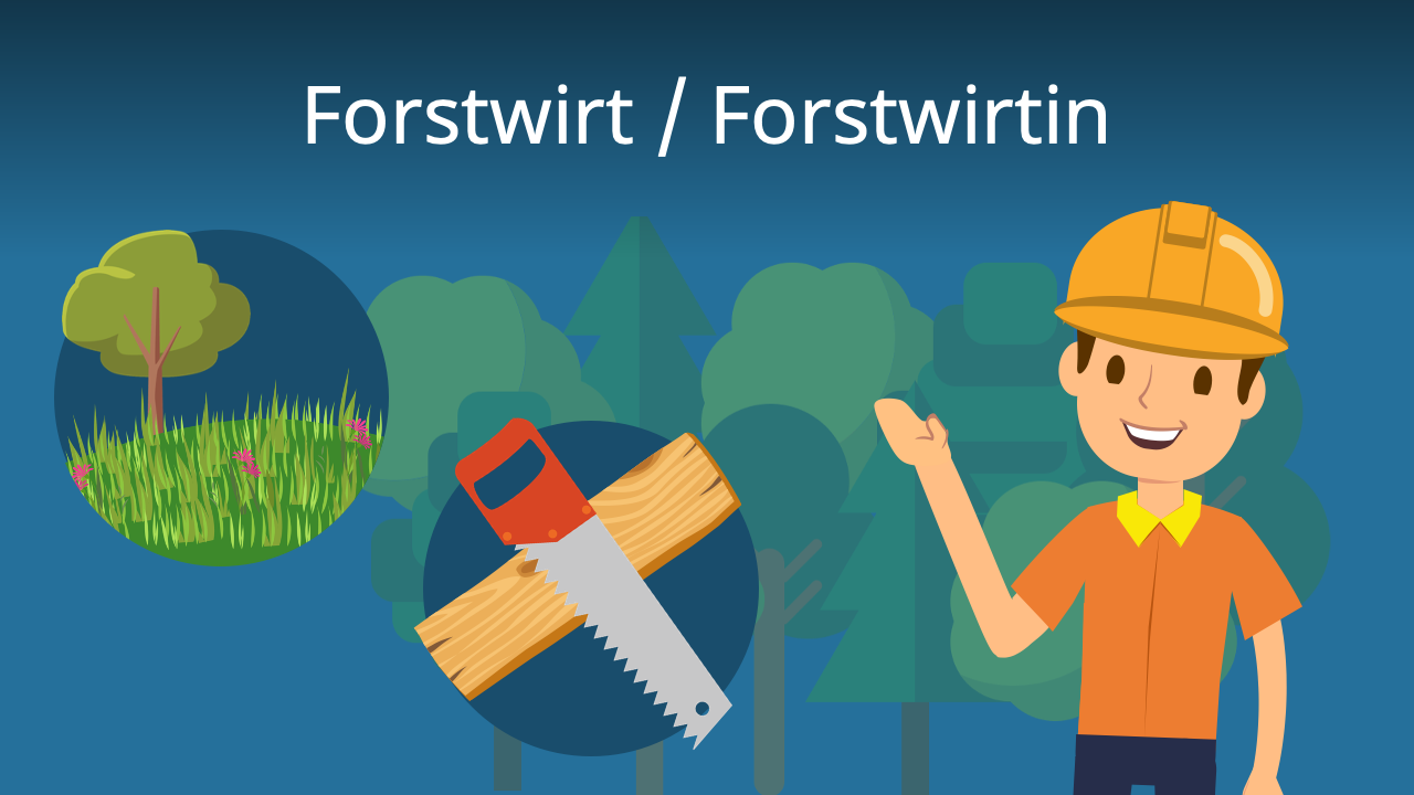 Forstwirt / Forstwirtin werden • Ausbildung & Beruf, freie Stellen ...