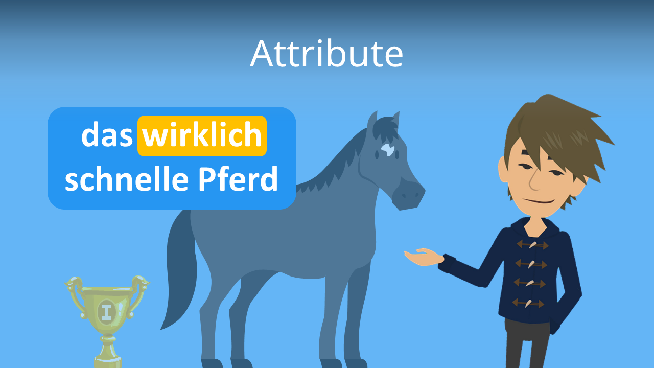 Attribute • einfach erklärt · [mit Video]