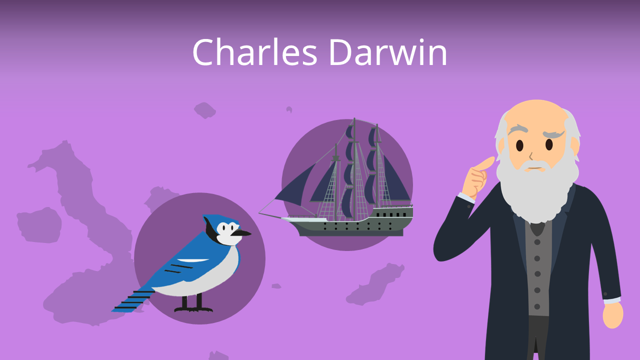Charles Darwin • Evolutionstheorie und Steckbrief · [mit Video]