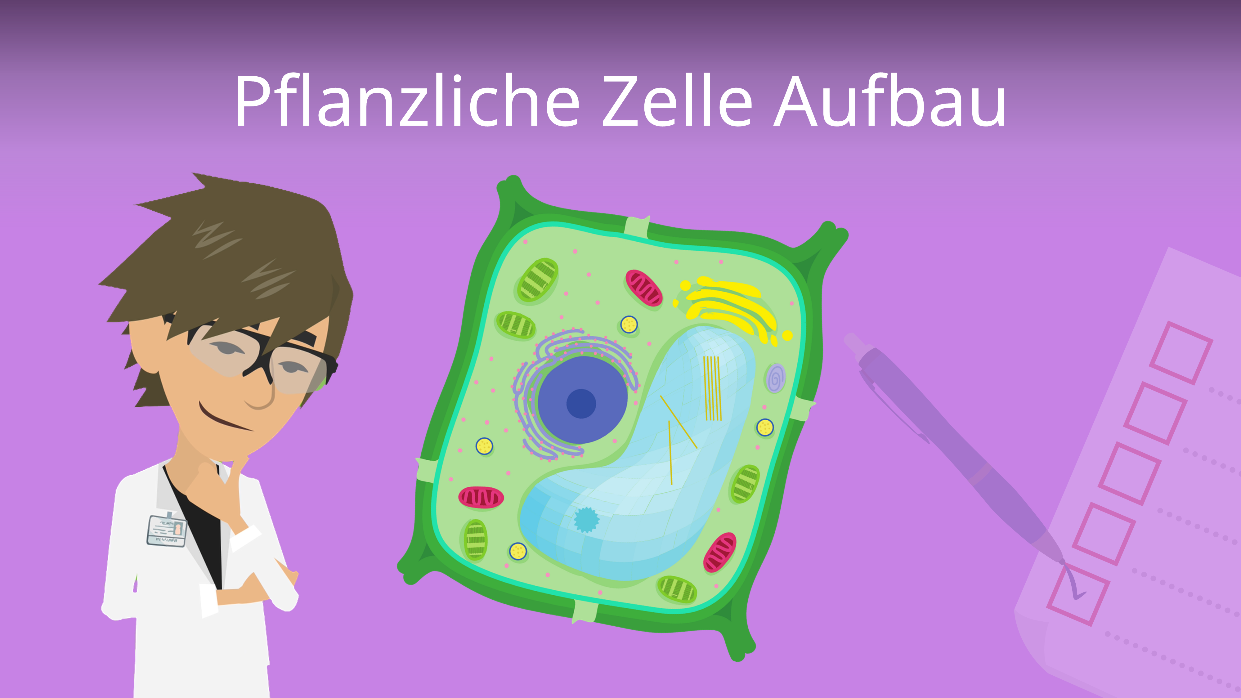 Pflanzliche Zelle Aufbau • Beschriftung & Funktion · [mit Video]