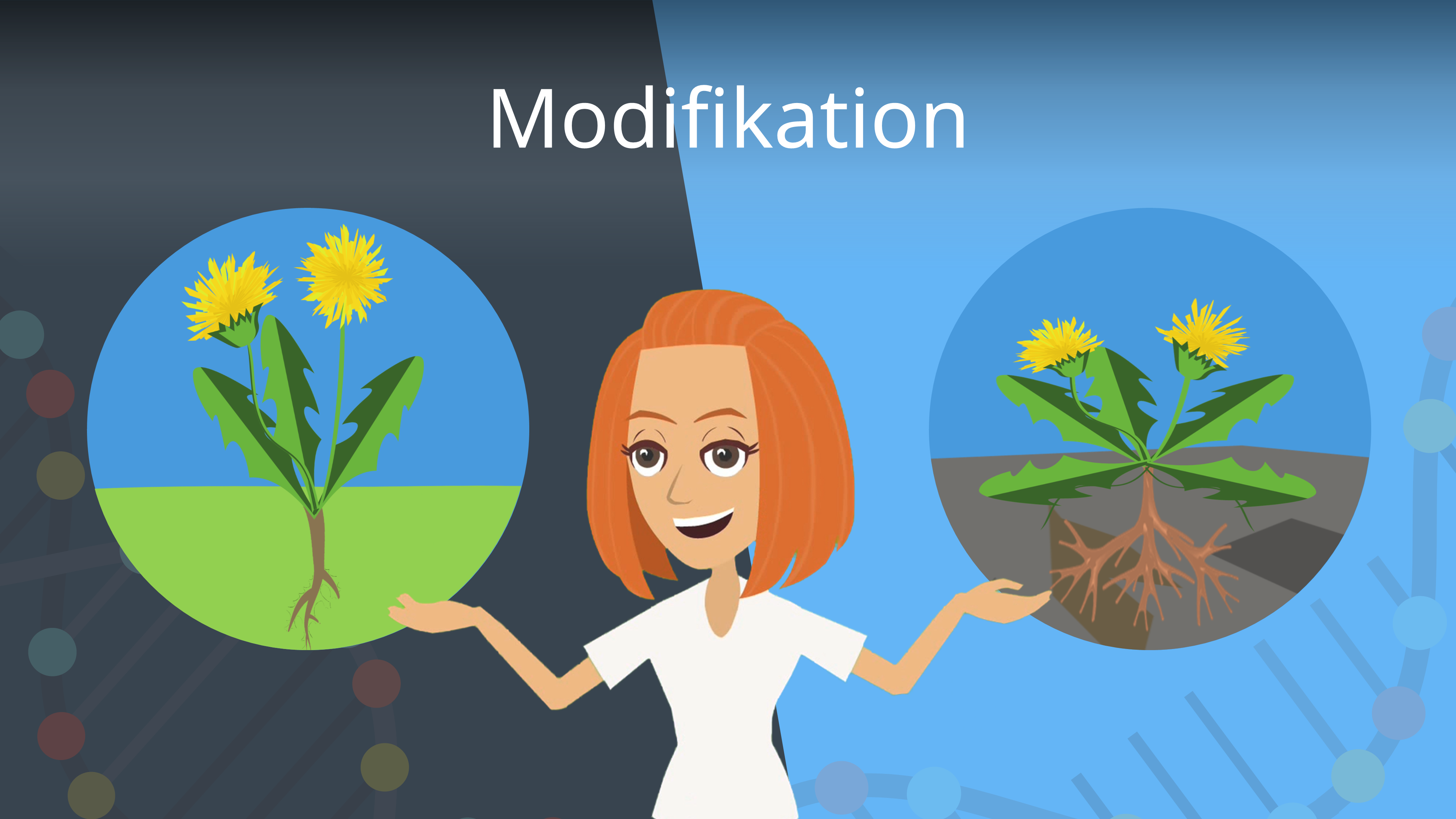 Modifikation • Definition, Beispiele, Bedeutung · [mit Video]
