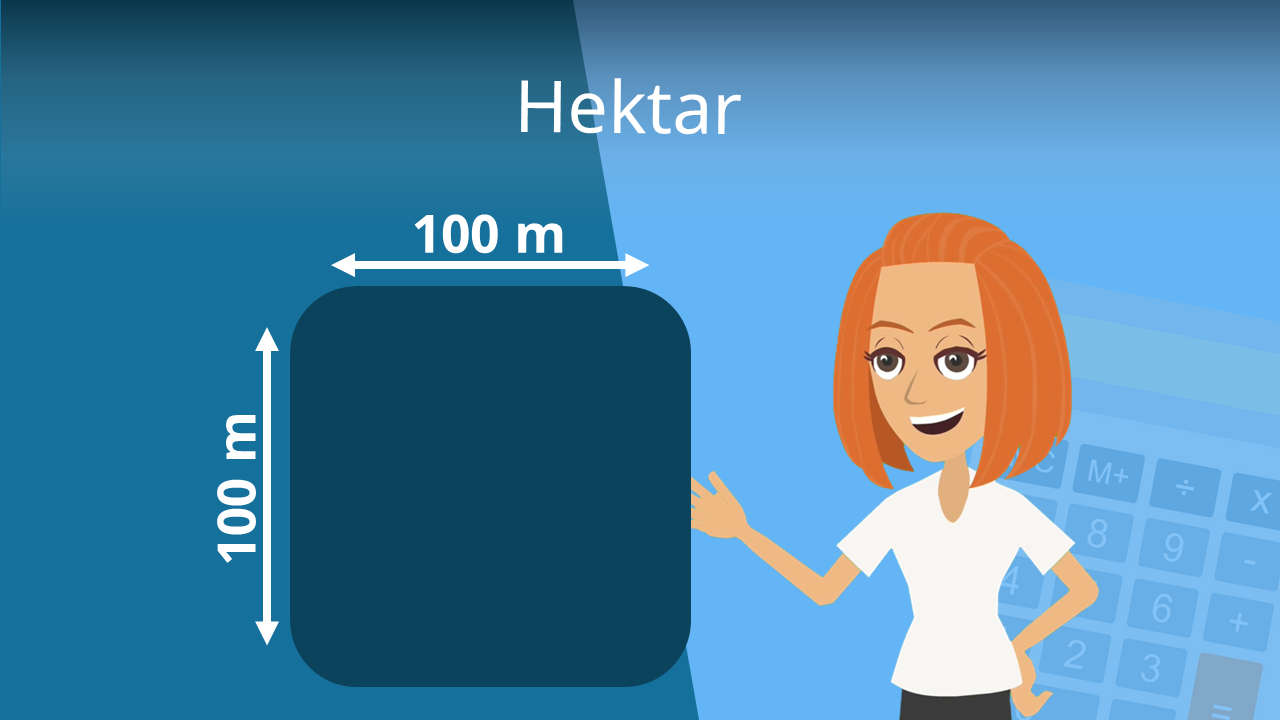 1 Hektar • Wie groß ist ein Hektar? Beispiele zum ha · [mit Video]