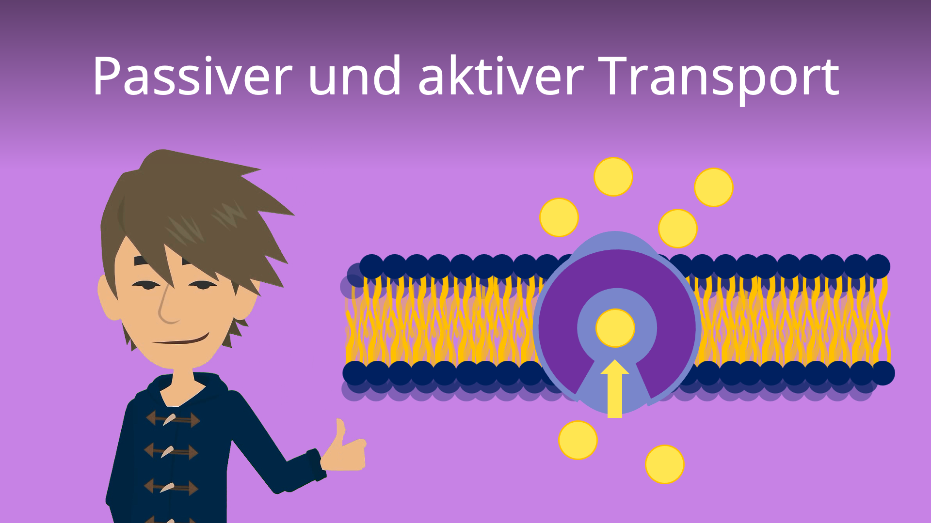Passiver Transport • Einfache und erleichterte Diffusion · [mit Video]