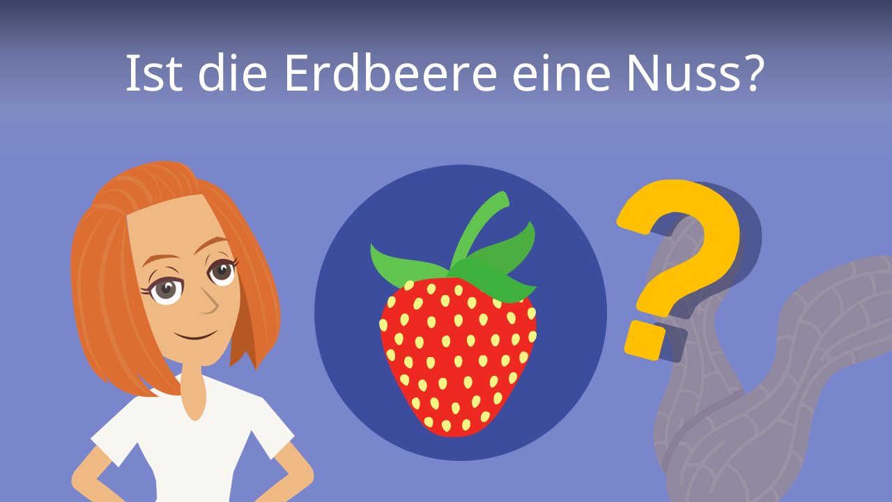 Ist die Erdbeere eine Nuss? • Sammelnussfrucht, botanische Merkmale ...