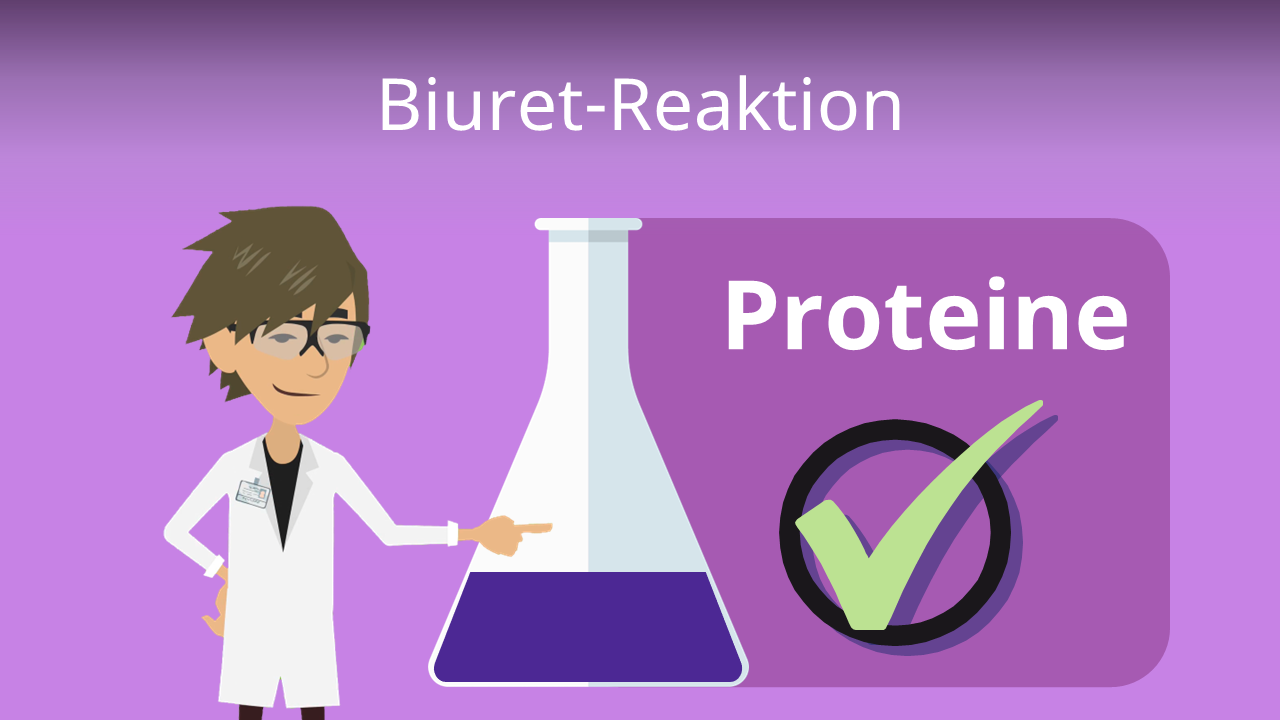 Biuret-Reaktion • Nachweisprinzip, Erklärung · [mit Video]