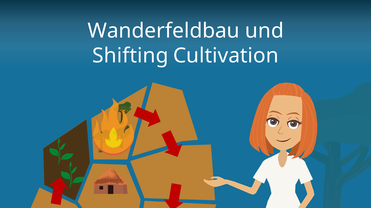 Shifting Cultivation • einfach erklärt • Definition & Prinzip · [mit Video]