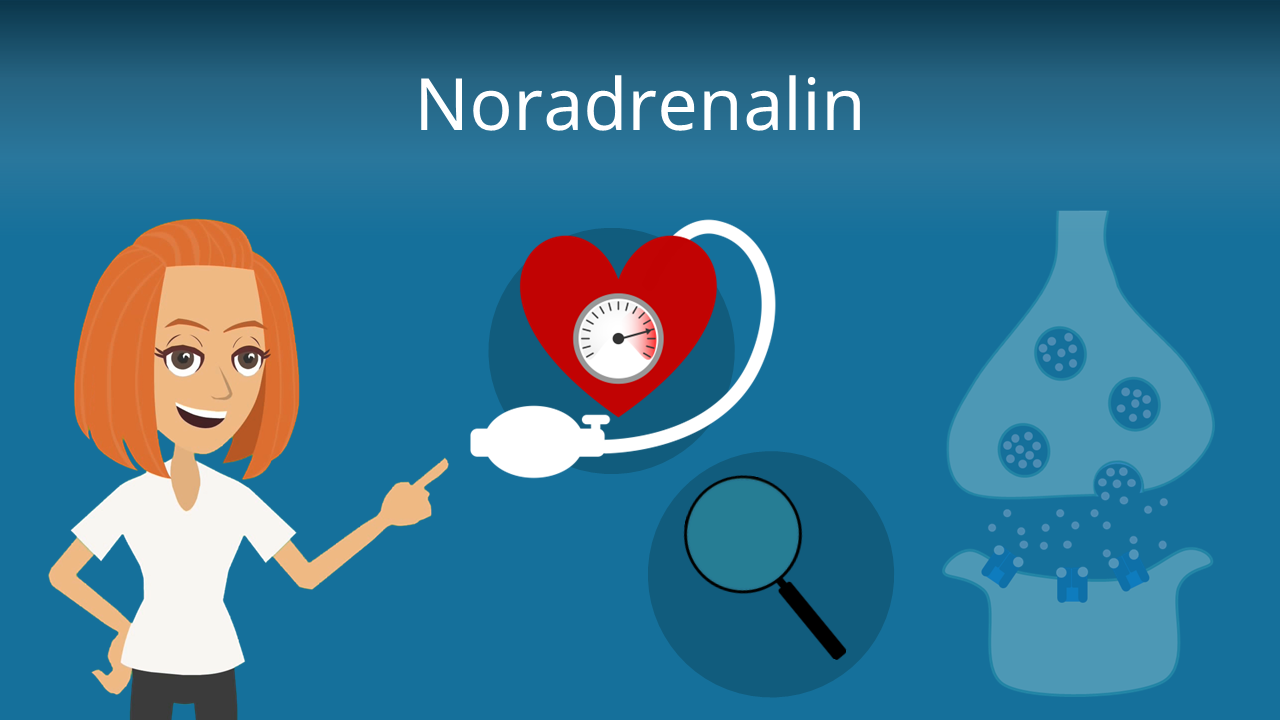 Noradrenalin • Definition, Funktion und Wirkung · [mit Video]