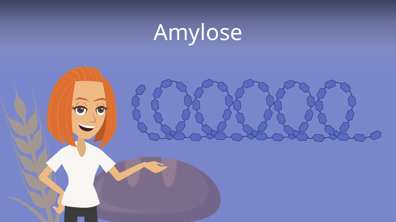 Amylose • Erklärung, Steckbrief · [mit Video]