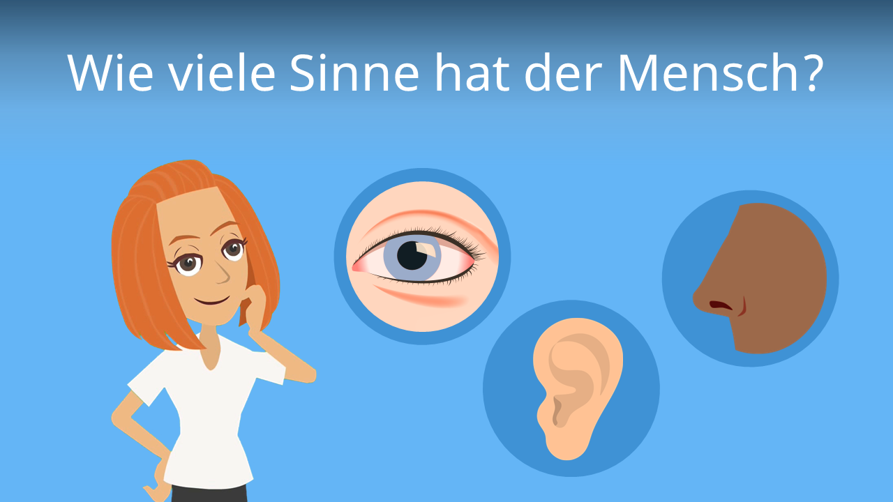 Wie viele Sinne hat der Mensch? • Überblick · [mit Video]