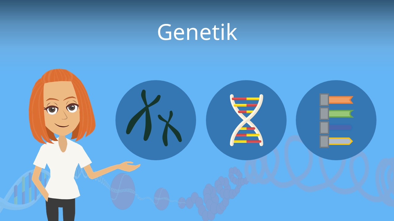 Genetik • Grundlagen und Themengebiete · [mit Video]