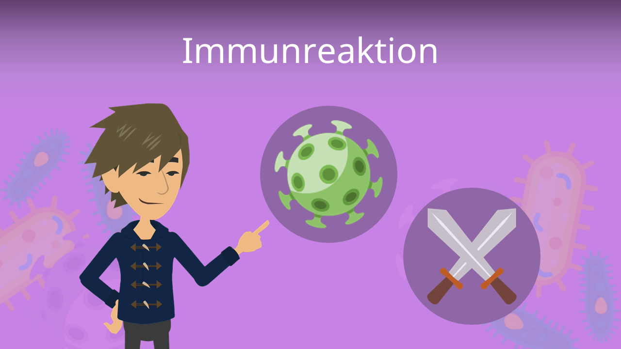 Immunreaktion • Übersicht und Arten · [mit Video]